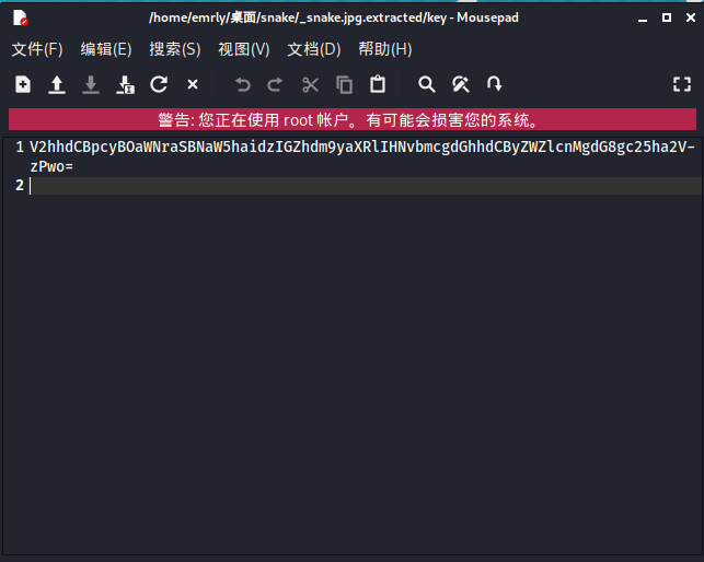 Buuctf snake_buuctf cipher-CSDN博客