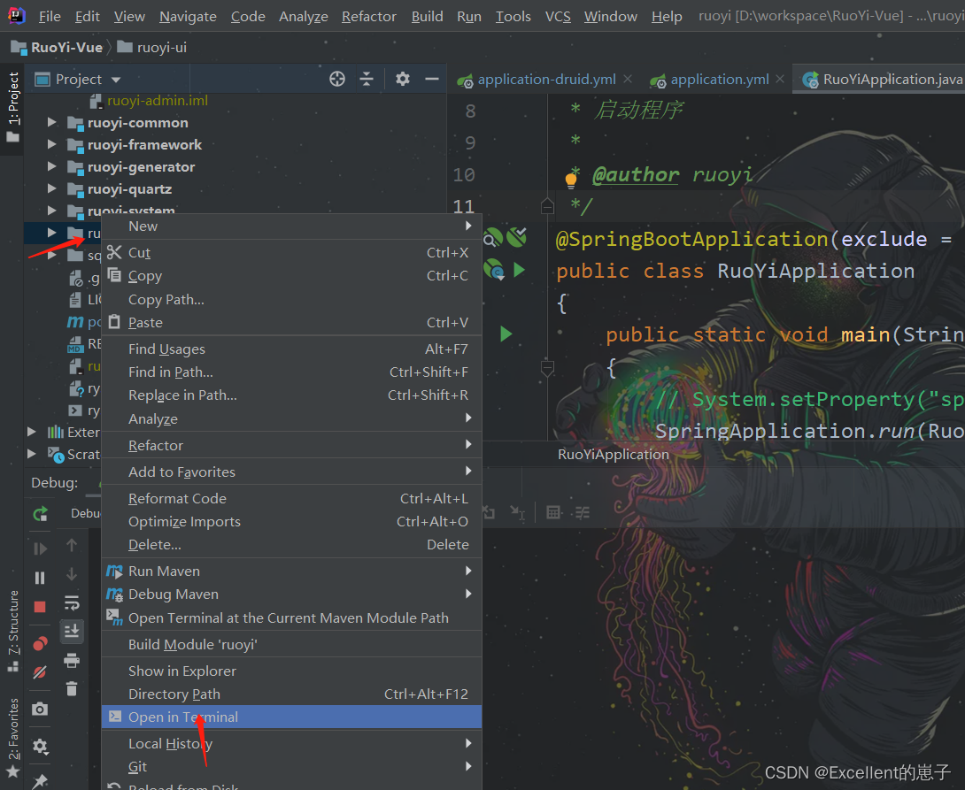 idea部署RuoYi-Vue分离版详解，够细！你值得拥有_在idea中vue项目部署-CSDN博客