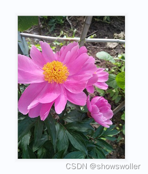 OpenCV中拆分通道、合并通道、alpha通道的讲解及实战演示（附python源码 超详细）_opencv图像通道拆分和合并-CSDN博客