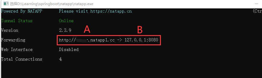 natapp外网穿透使用教程Windows-CSDN博客