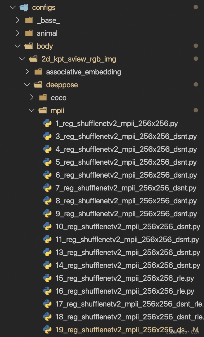 优化姿态估计模型_rle和simcc哪个好-CSDN博客