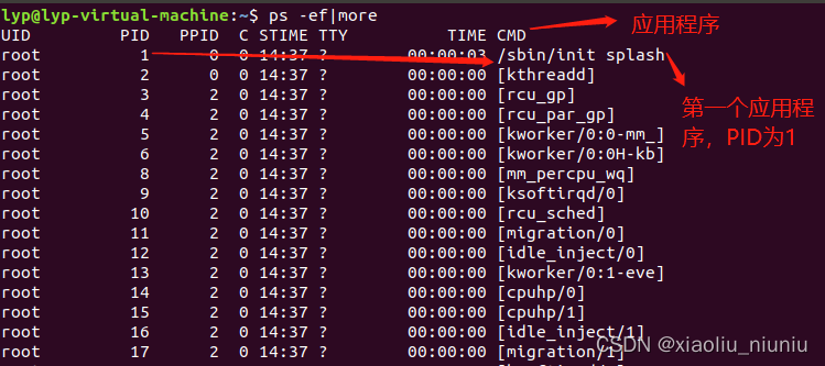 Linux 操作系统原理基础知识(一)操作系统原理linux篇笔记 Csdn博客