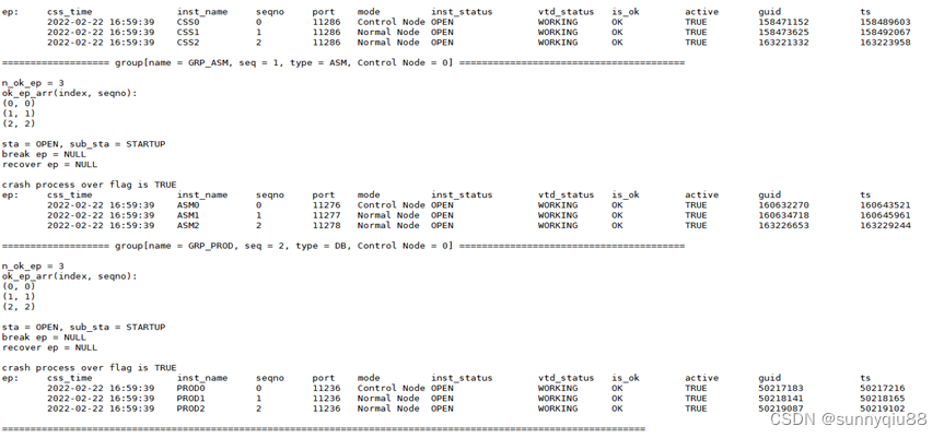 【与达梦同行】带DATA WATCH的三节点DSC集群故障案例分析_sunnyqiu88的博客-CSDN博客