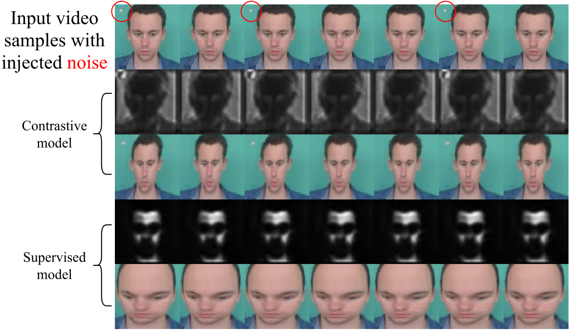 The Way to my Heart is through Contrastive Learning:Remote PPG from Unlabelled Video_ubfcrppg数据集 ...