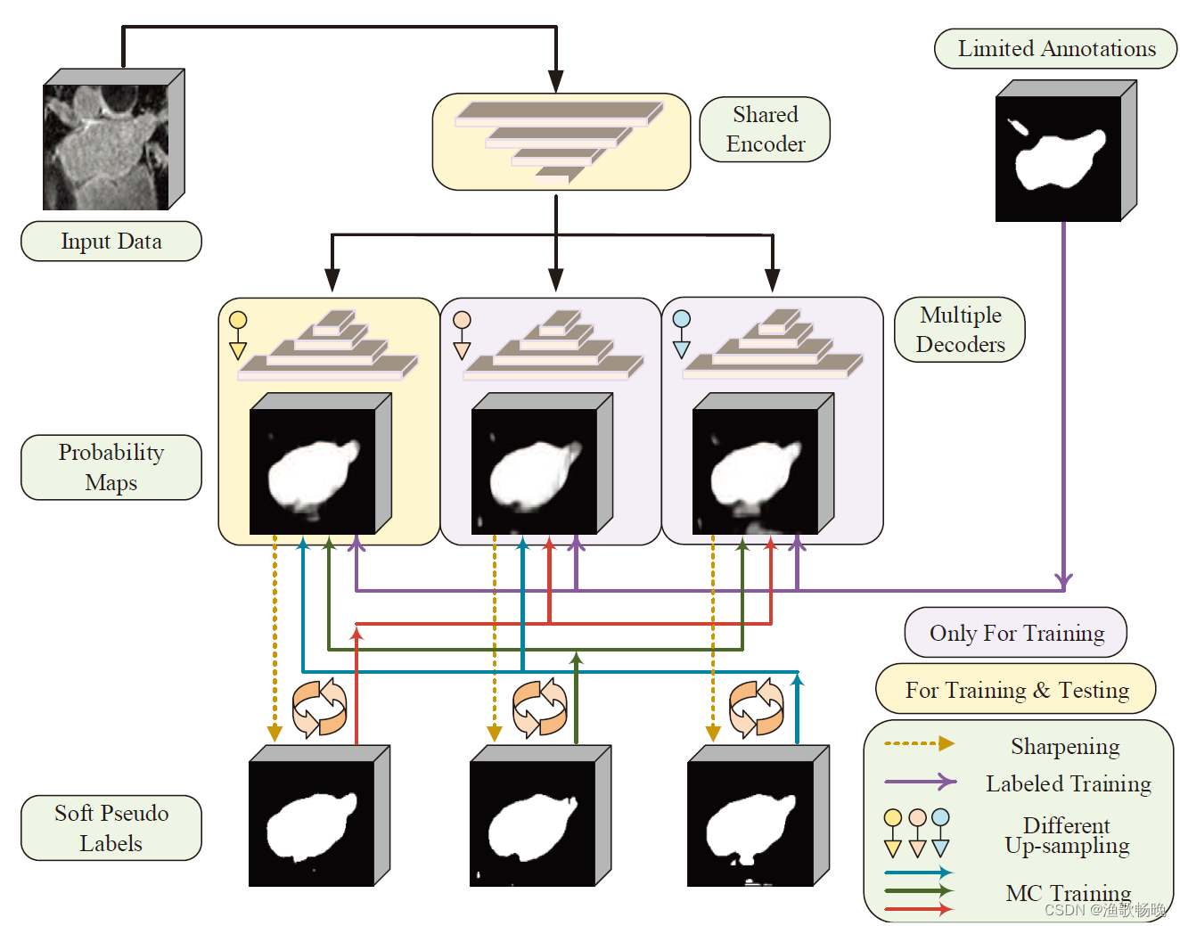 论文解读《Semi-supervised Pathological Image Segmentation via Cross Distillation of Multiple ...