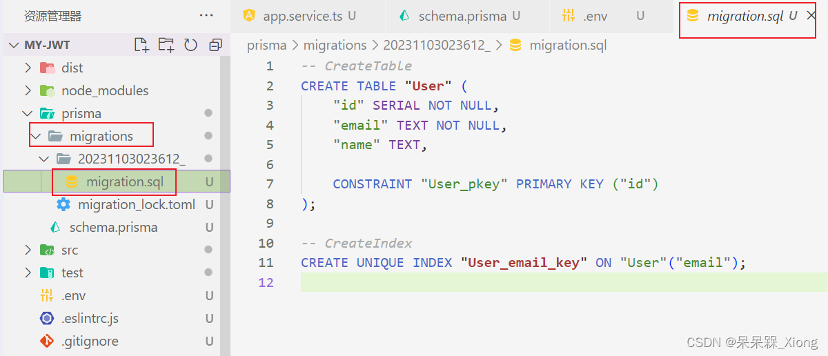 Nest Prisma Redis Jwt 。prisma Nest Csdn博客 1813