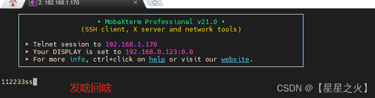 ZYNQ LWIP实验_vitis用lwip创建tftp-CSDN博客