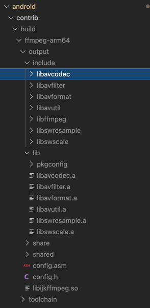 android studio引入ijkplayer二次开发_ijk开发-CSDN博客