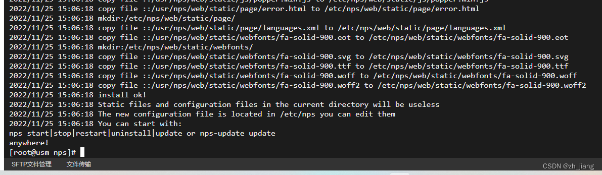 搭建NPS进行内网穿透服务器_server2019 nps内网穿透-CSDN博客
