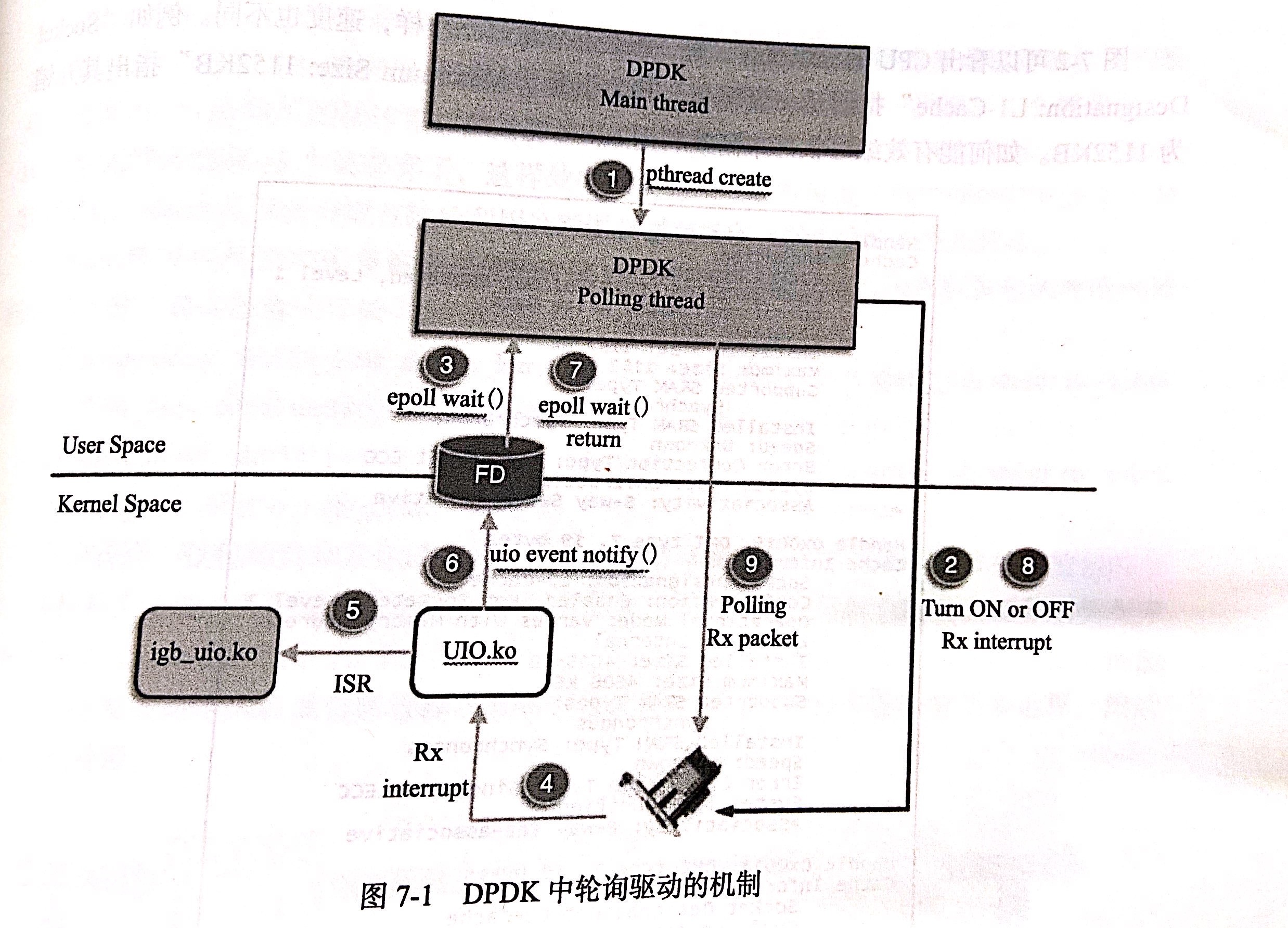 深入浅出DPDK学习笔记——网卡性能优化_dpdk的发包网卡分离-CSDN博客