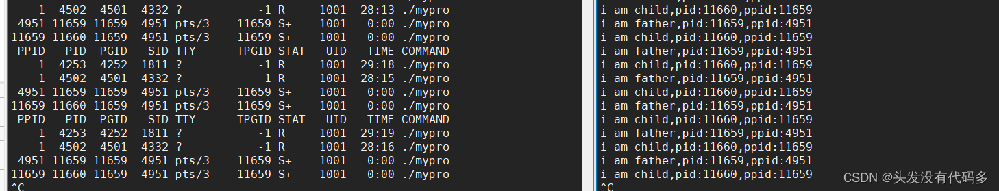 Linux——进程|描述进程-PCBtask_struct-PCB的一种组织进程 |查看进程父进程和子进程|PID获取|父子关系|fork初识_获取子进程pid-CSDN博客