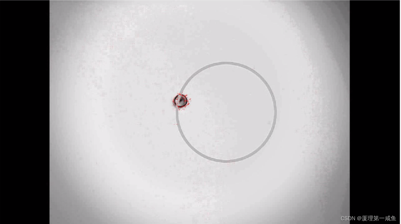 Matlab光流法图像识别实例光分组头的识别结果 Matlab Csdn博客