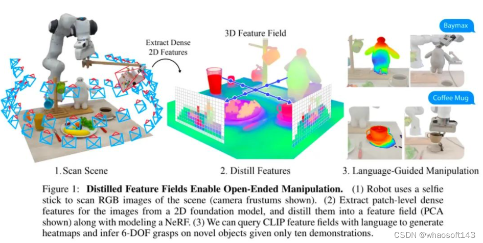 Distilled Feature Field，DFF_distilled feature fields-CSDN博客