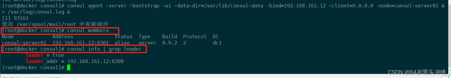 docker ---Consul部署_docker部署consul-CSDN博客