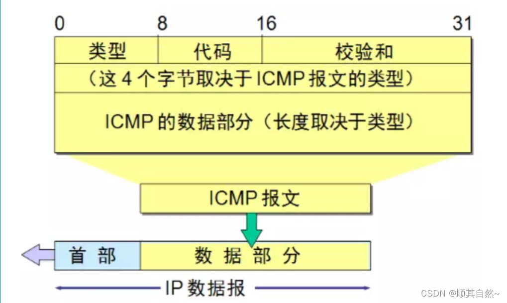 ICMP详解_icmp报文分析-CSDN博客