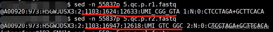 BWA mem序列比对时出现：paired reads have different names 问题解决-CSDN博客