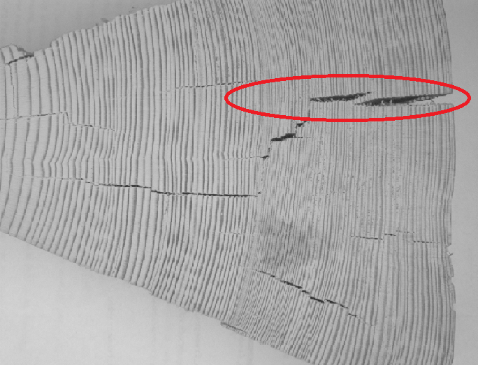 halcon知识：select_shape究竟怎么用（1）？_halcon shape-CSDN博客