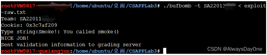 CSAPP 缓冲区溢出炸弹 中科大实验_csapp缓冲区溢出实验-CSDN博客