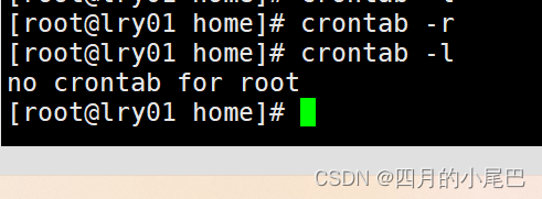 Linux12 crontab 定时任务 at 一次性任务_crontab一次性计划任务-CSDN博客