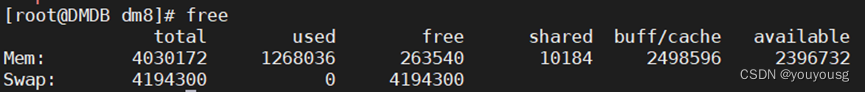 达梦数据库linux 系统数据库安装备份与还原达梦 数据库备份linux Csdn博客