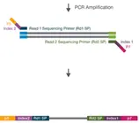 Tn5转座酶建库原理-CSDN博客