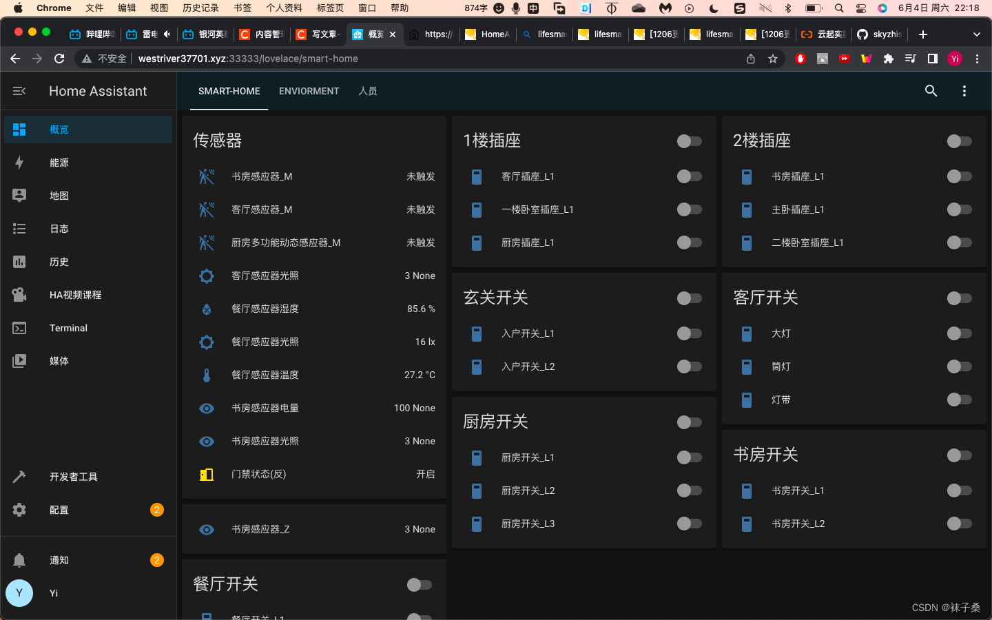 Home Assistant 接入 Lifesmart（云起智能）家居的途径。_lifesmart接入ha-CSDN博客