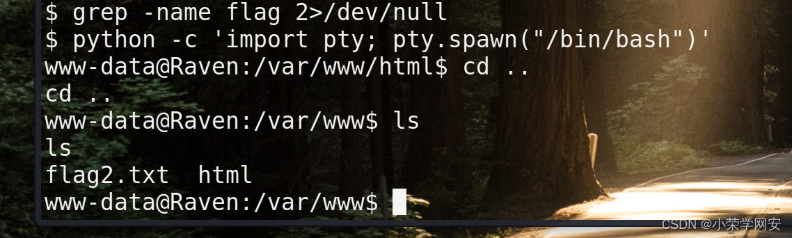 【甄选靶场】Vulnhub百个项目渗透——项目十五：Raven-1（wp利用，UDF提权）_raven-1靶场-CSDN博客