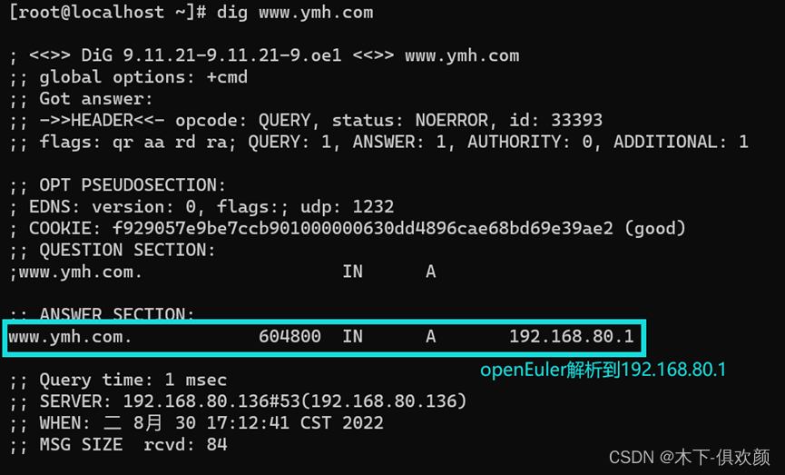 Linux中bind9的view（视图解析）配置示例与注意事项_linux中view inside-CSDN博客
