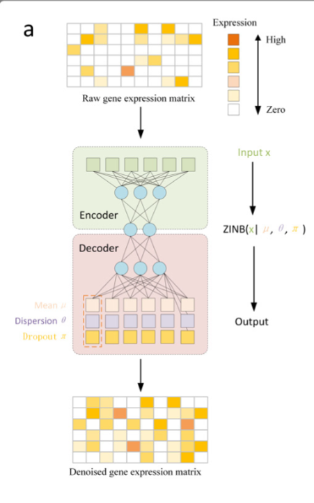 Imputation Methods for scRNA Sequencing Data_imputation methods for sc-rna squencing-CSDN博客