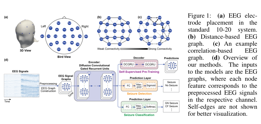 【文献翻译】用于改进脑电图癫痫发作分析的自监督图神经网络 - (DCRNN / SSL)_self-supervised graph neural networks for improved ...