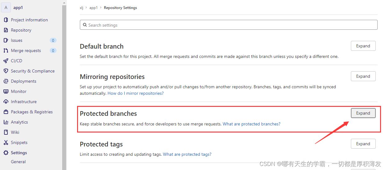 GitLab设置及取消保护分支_gitlab取消分支保护-CSDN博客