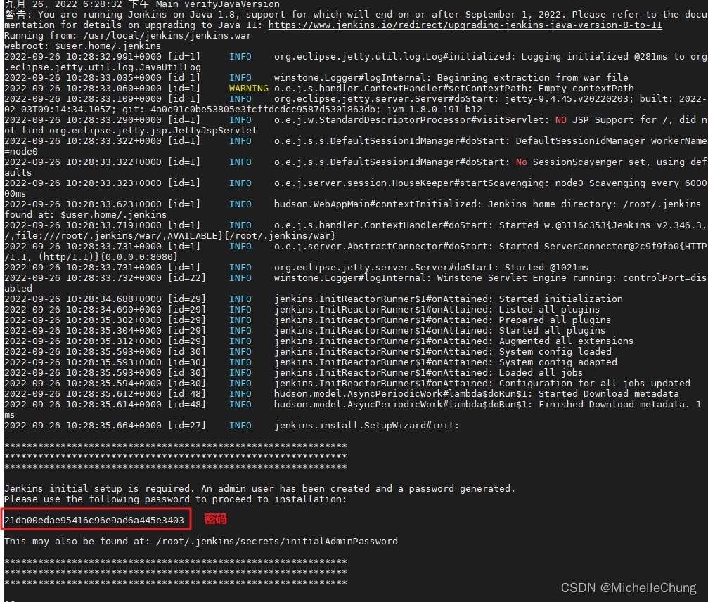 【ruoyi Vue Plus】扩展笔记 04 Centos 8 配置 Jenkins 自动发布 Csdn博客 