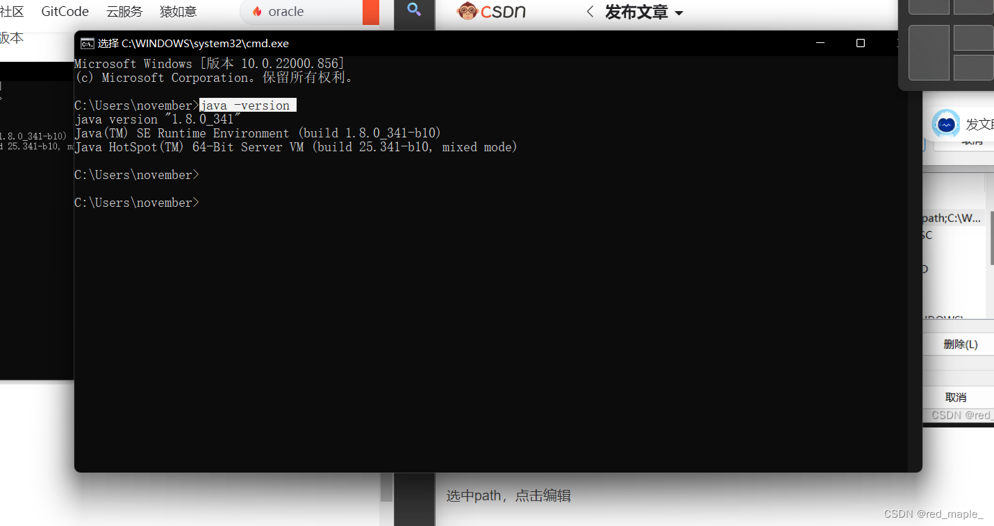 jbk和jre的下载与安装_jbk下载_red_maple_的博客-CSDN博客