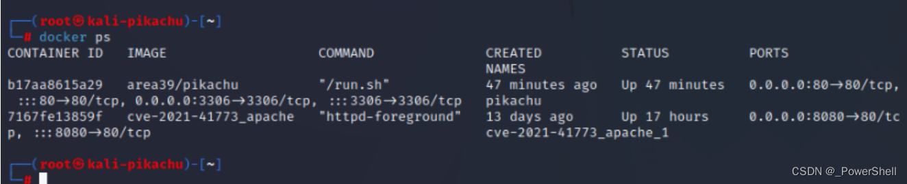 [ 靶场环境片 ] kali-linux采用Docker 搭建 pikachu（特别详细）_kali pikachu安装教程-CSDN博客