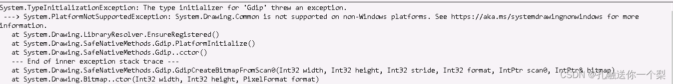 解决非Windows系统的System.Drawing.Common不再支持.NET6的问题，第三种方式更换SkiaSharp组件_system.drawing ...