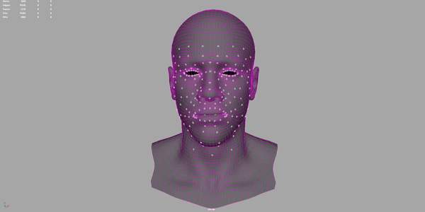 线性蒙皮（Linear blend skinning）相关知识-CSDN博客