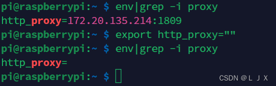 Linux/树莓派把网络代理设置到本机_树莓派设置代理-CSDN博客