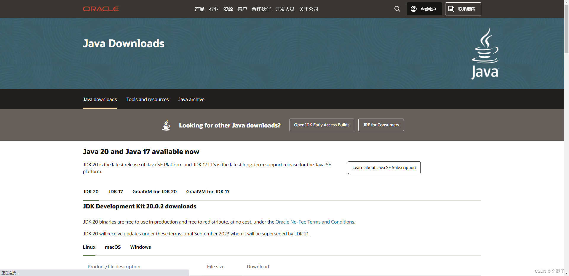 报错解决：类文件具有错误的版本 61.0, 应为 52.0-CSDN博客