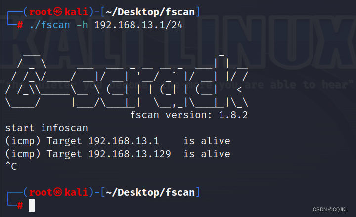 kali下载fscan(通畅无阻)_fscan下载-CSDN博客