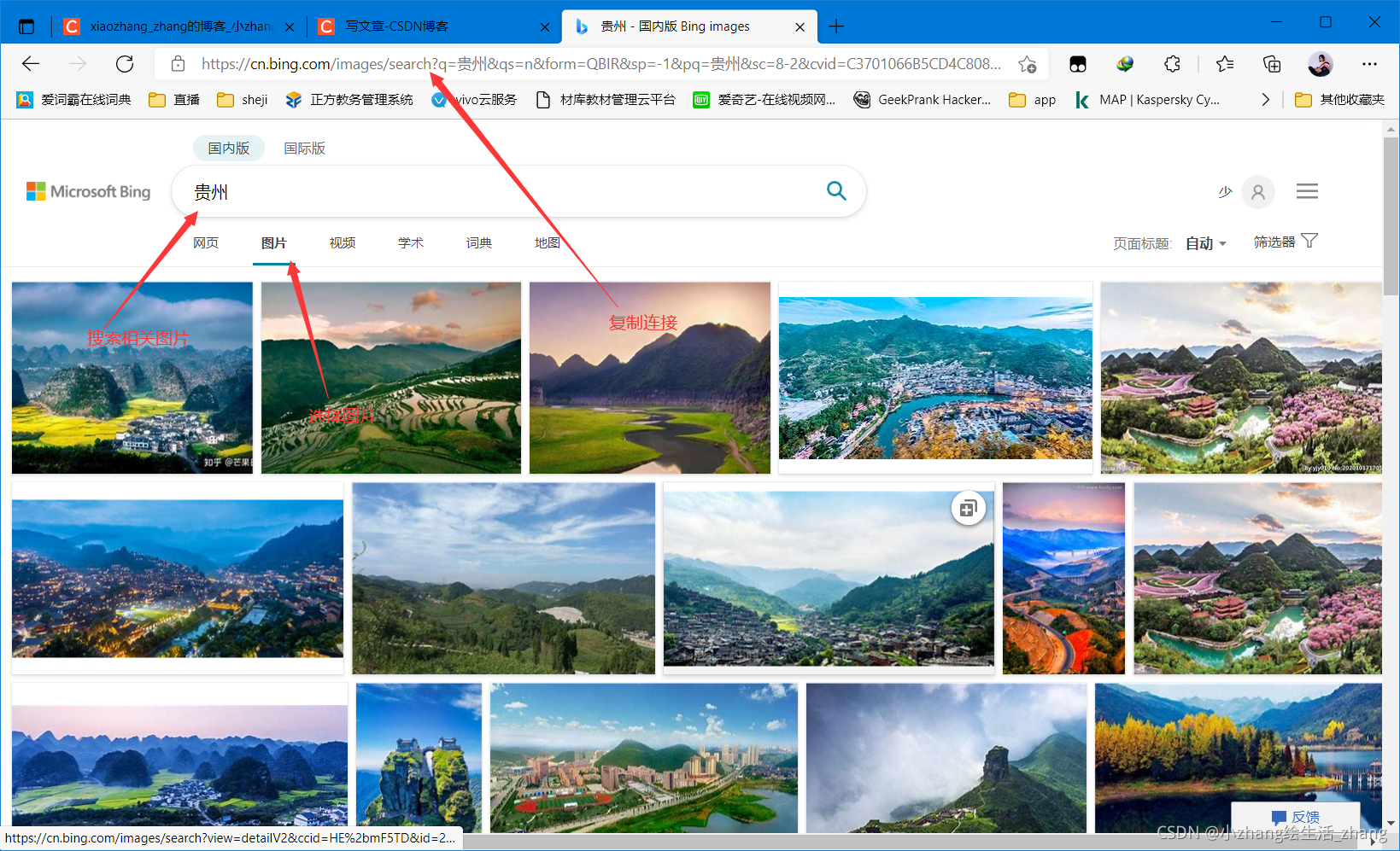 Python批量爬取图片(microsoft Edge浏览器)python Edge 爬取图片 Csdn博客 2856