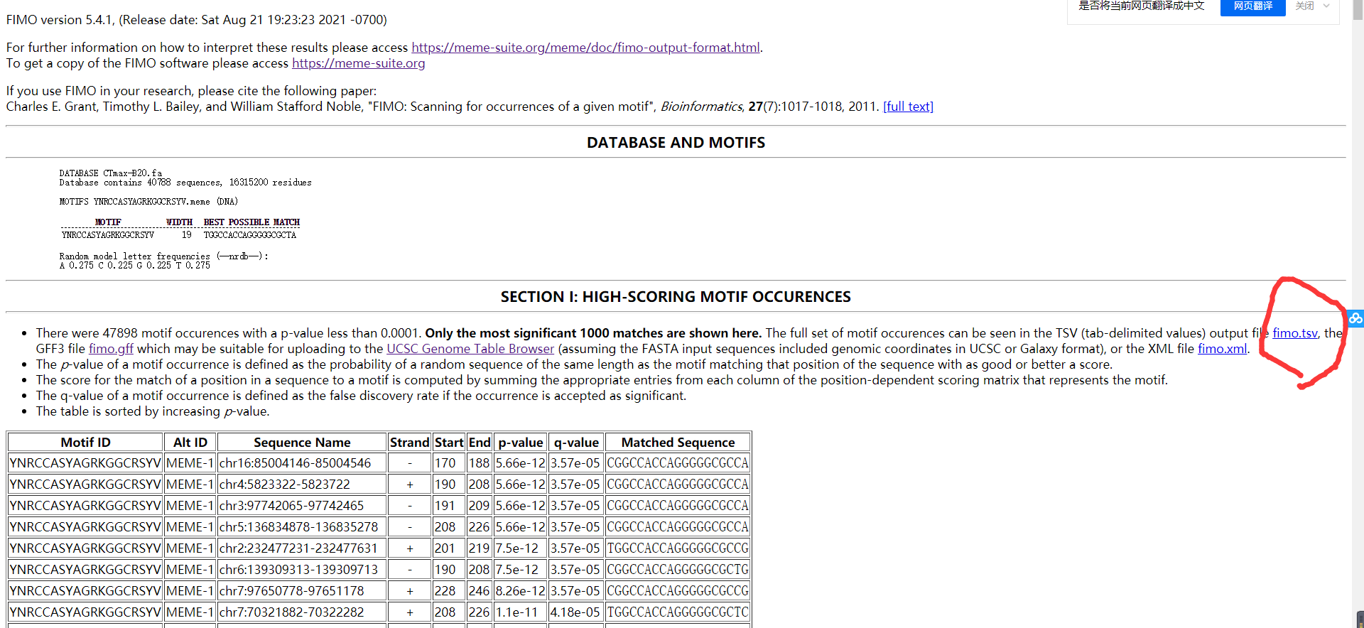 用MEME找motif score_meme tool_很酷的女超人的博客-CSDN博客