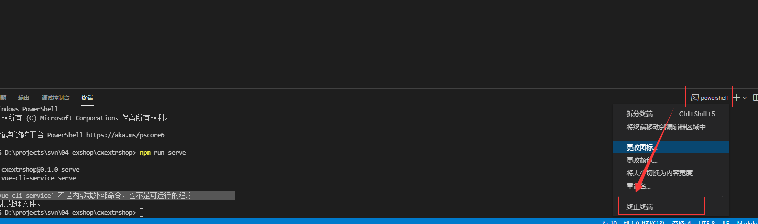 cmd-npm-vscode-cmd-vscode-csdn
