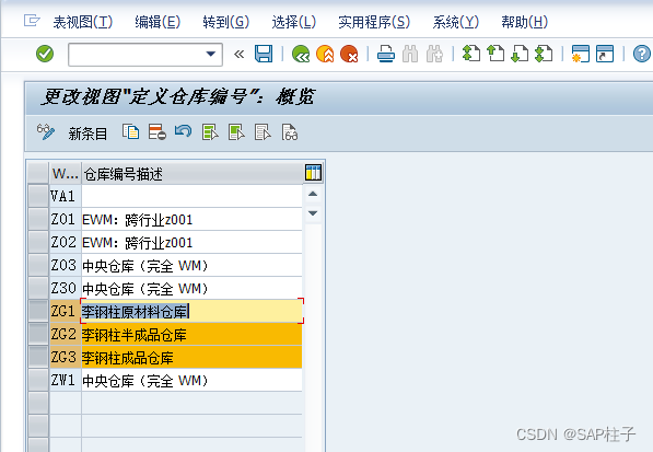 SAP WM简单入门-CSDN博客
