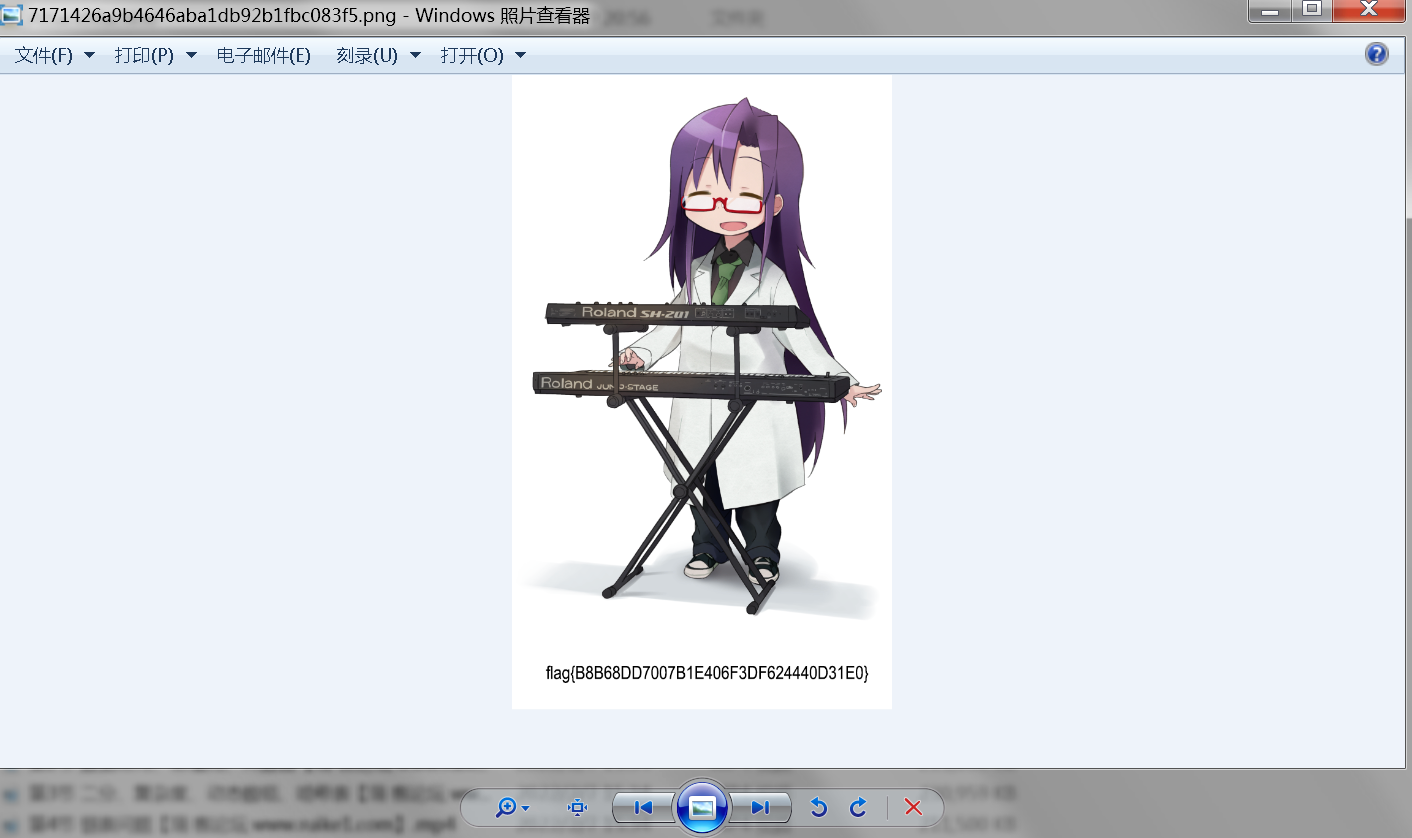 20220209-CTF MISC -normal_png-stegsolve分析图片--Winhex修改图片宽高_winhex修改图片高度参数-CSDN博客