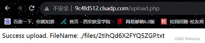 phar文件包含实例：-CSDN博客