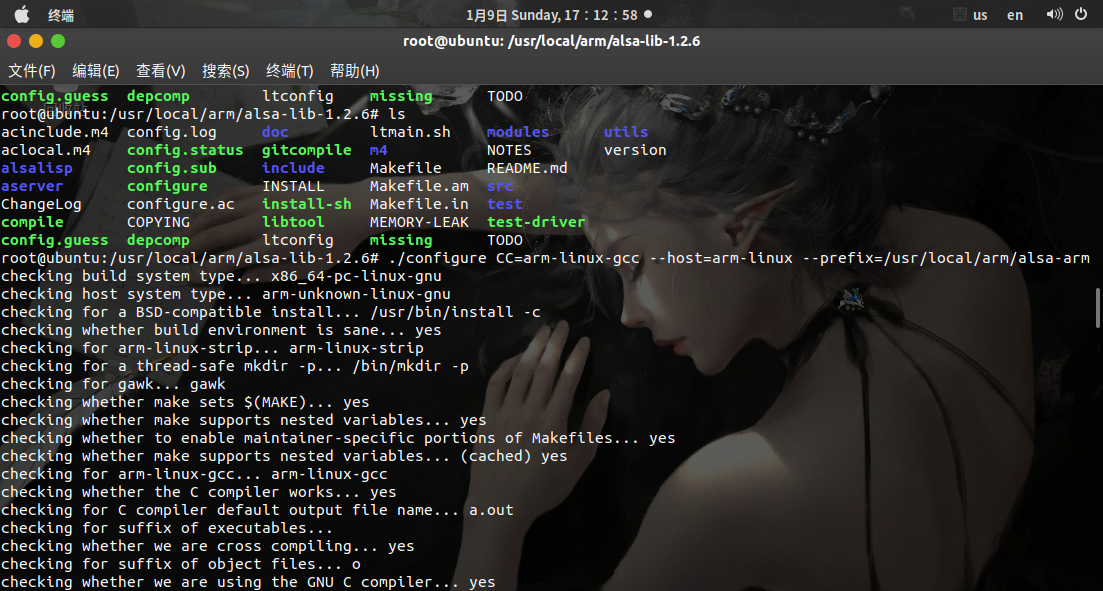 Linux系统的madplay、mplayer音视频播放器的制作_linux下的mplayer小项目怎么编译-CSDN博客