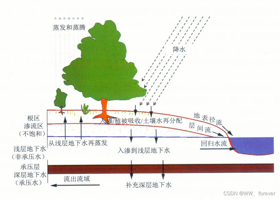【SWAT水文模型】模型原理及数据库简介_swat模型-CSDN博客