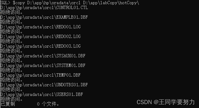 【Oracle】sqlplus 复制数据文件时出现拒绝访问_sql plus 无法访问文件-CSDN博客