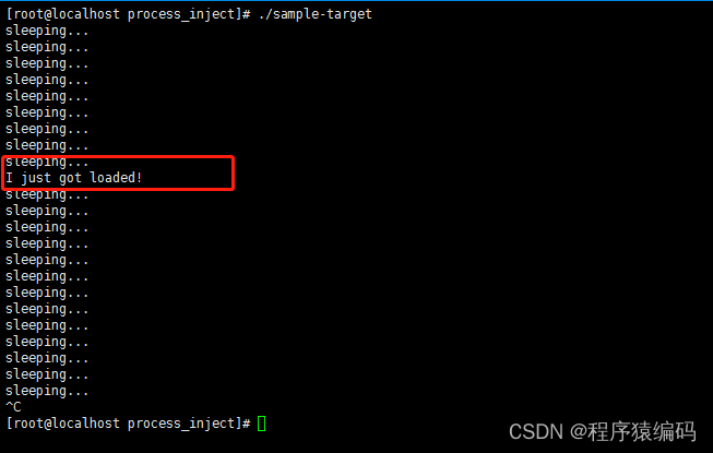 将shllcode注入linux中正在运行的进程（cc代码实现）linux Shellcode 注入 Csdn博客
