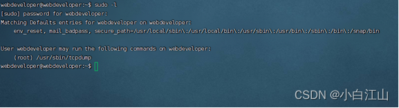 WebDeveloper内网渗透流程（新手流程梳理）_有webconfig如何渗透-CSDN博客